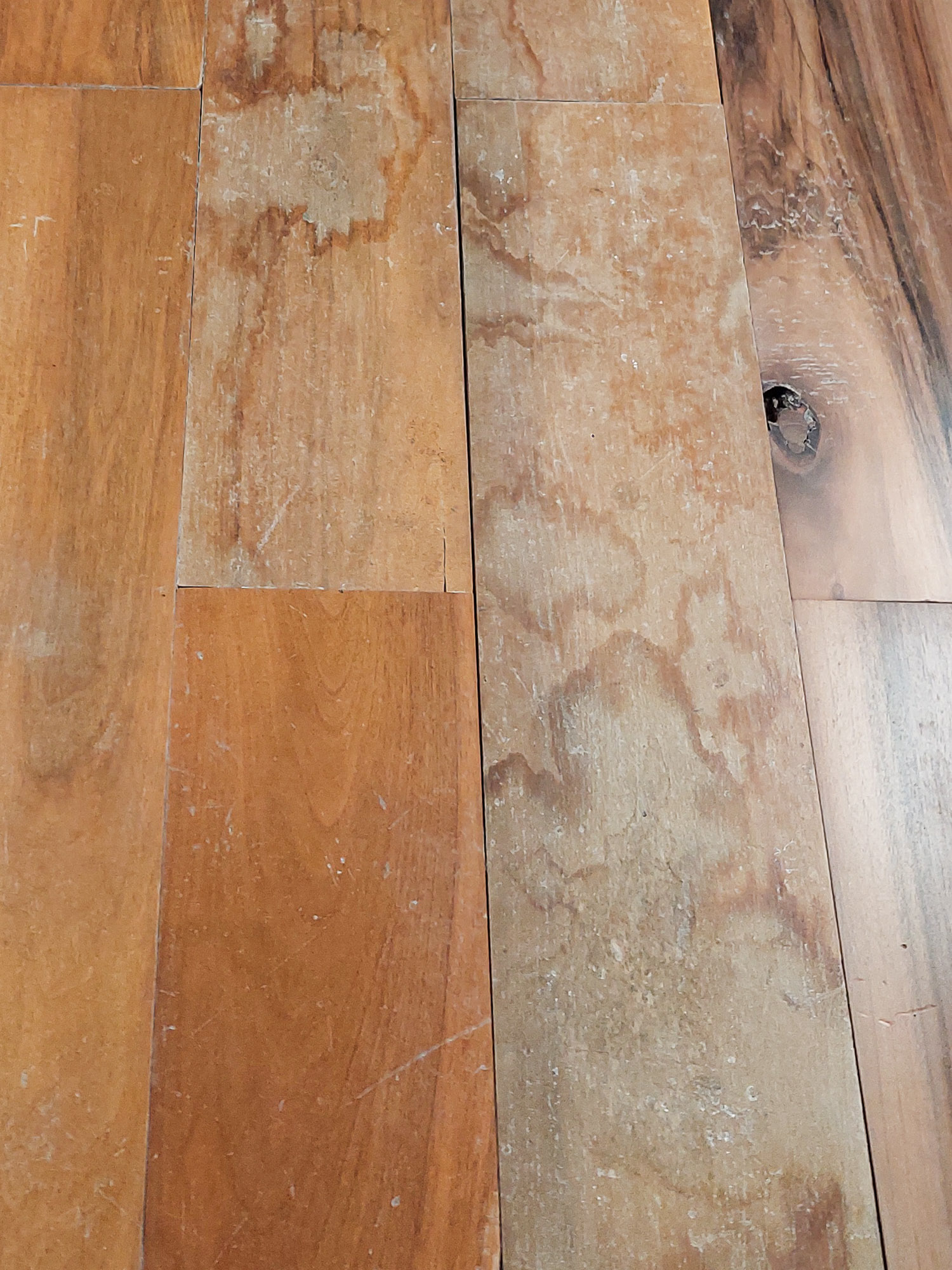 Antique walnut parquet floor - Piet Jonker